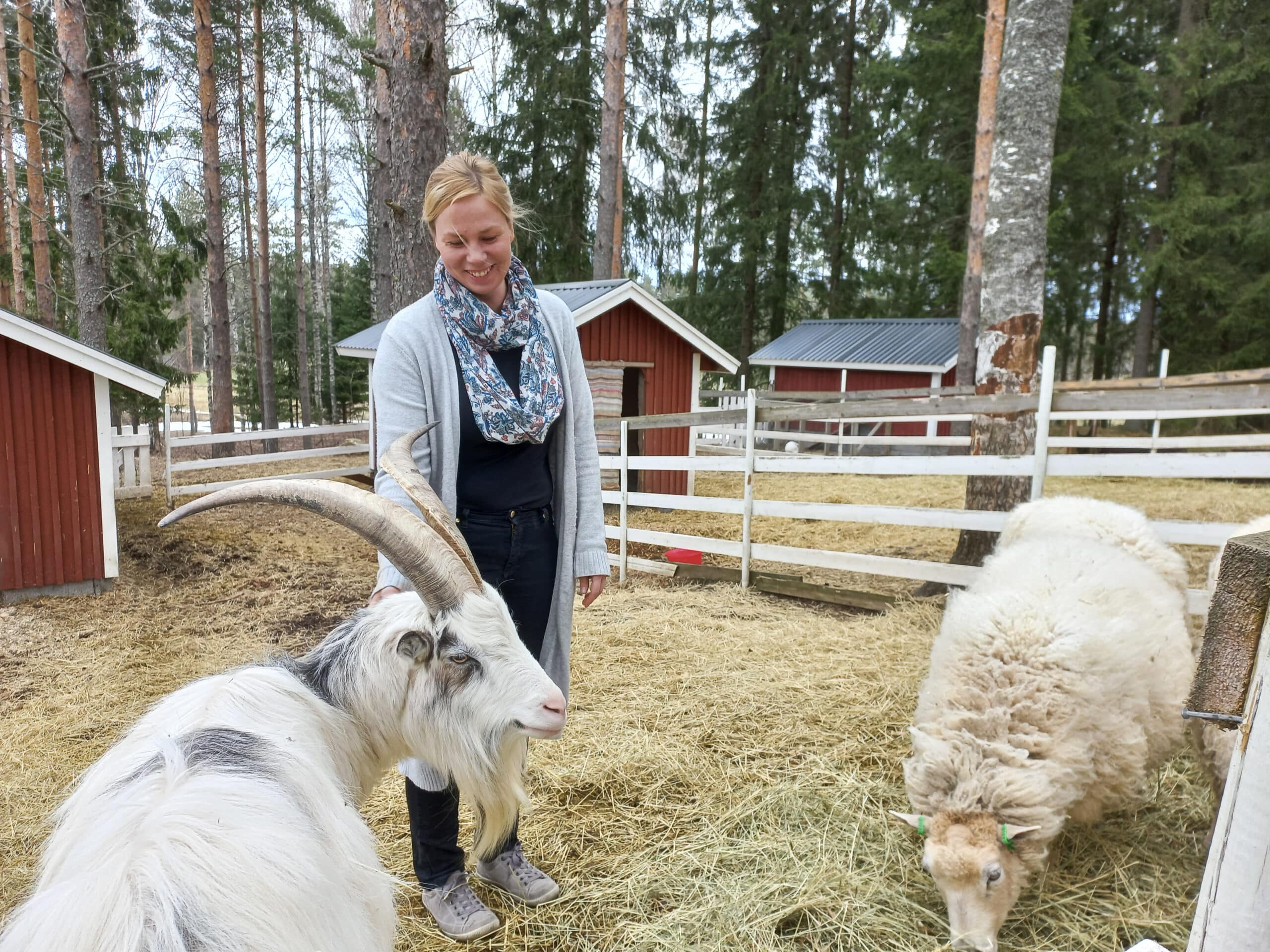 Maatilamatkailua kahden maakunnan rajamailla - Maaseutu.fi