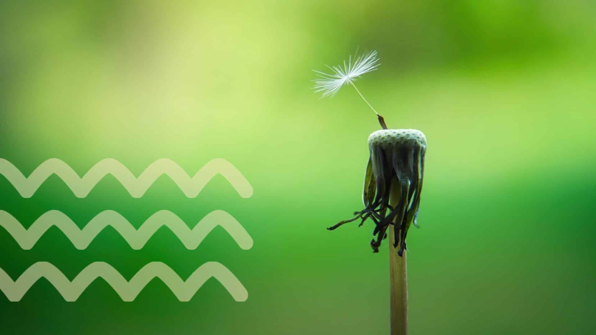 Kohti kestävää tulevaisuutta - Maaseutu.fi