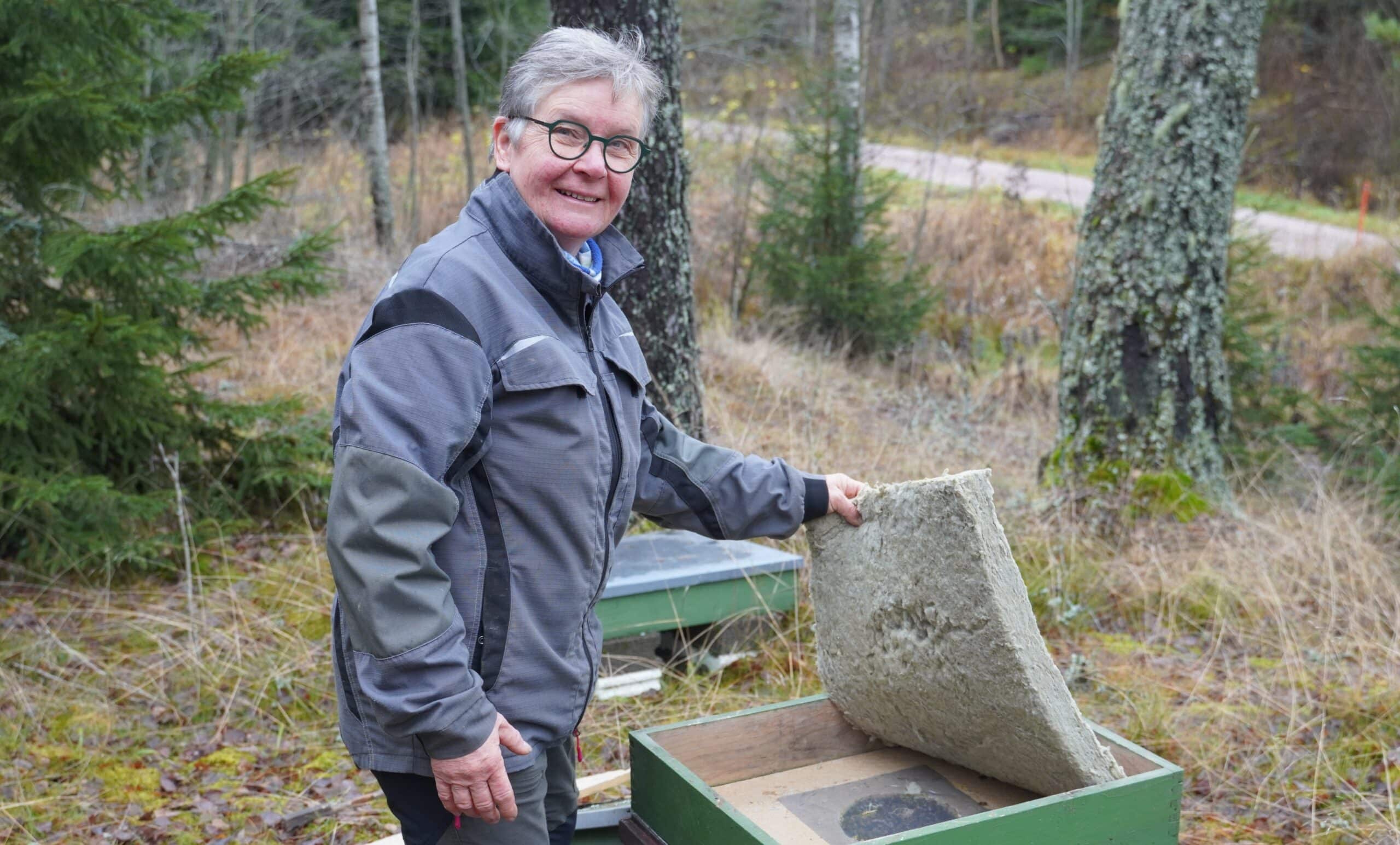 Suurpetojen aiheuttamat kotieläinvahingot ovat lisääntyneet Varsinais ...