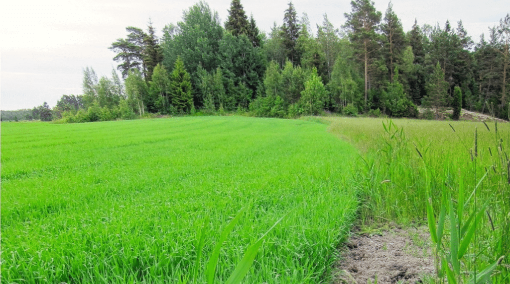 Tule vaikuttamaan tulevaisuuden maatalouden tukipolitiikkaan ...